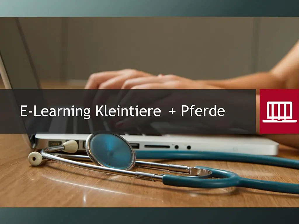 Do it yourself E-Learning Kleintiere inkl. Pferd | deutschkurs-tieraerzte.com